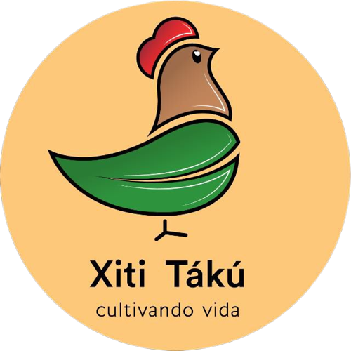 Inicio - Xiti Tákú