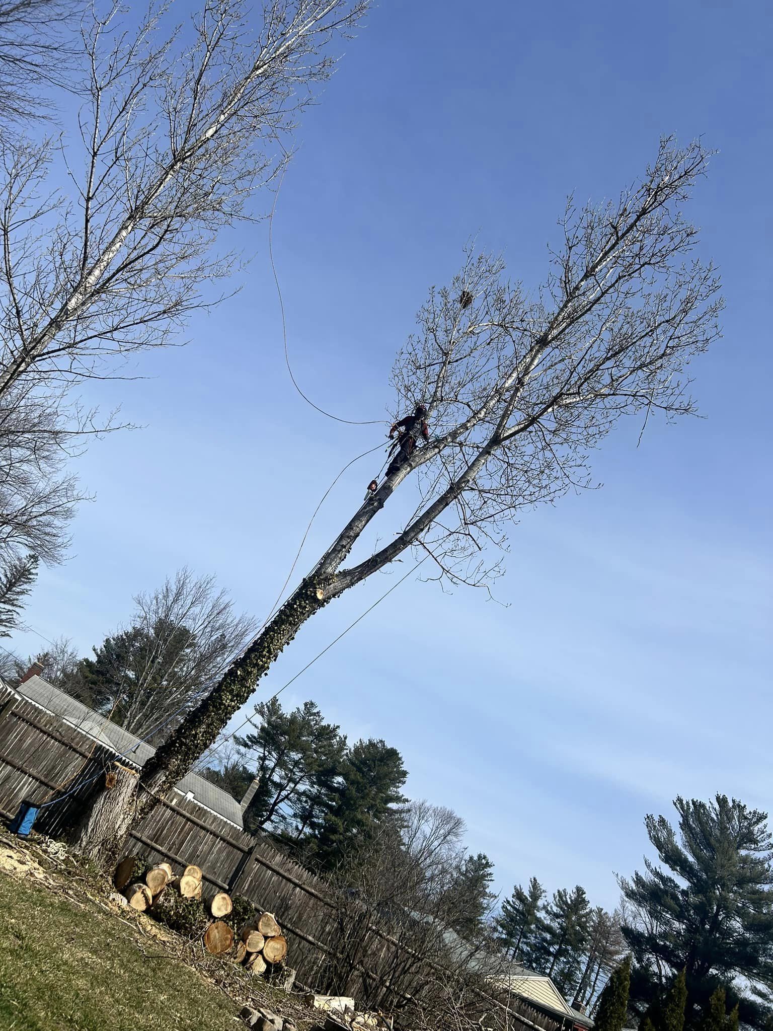 Tree Services Townsend | Land Clearing | Leaf and Limb LLC