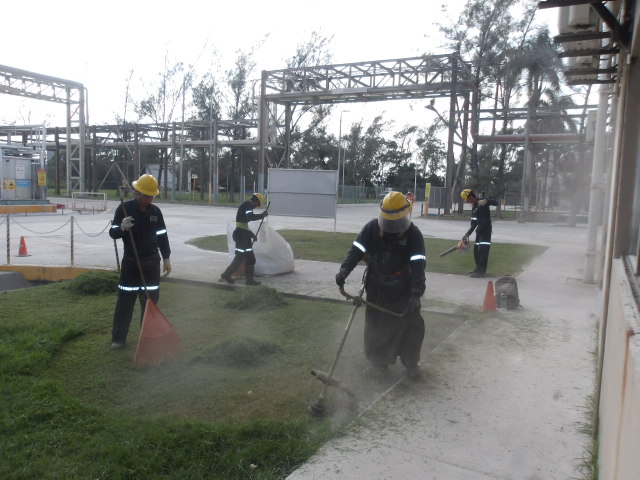 Servicios Especializados MEROB