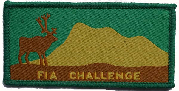 irishmedals.orgCompetition Badges