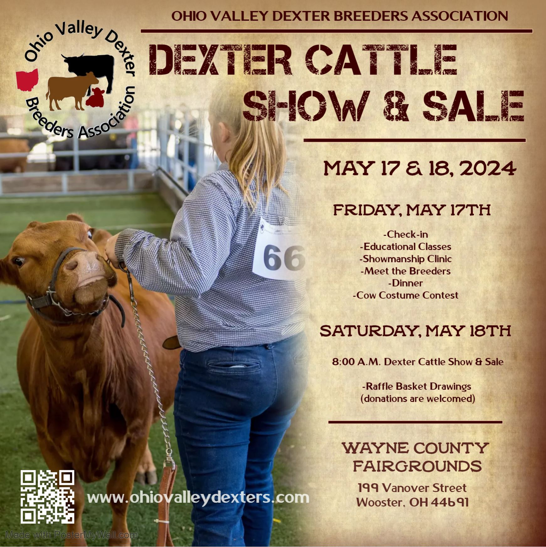 ohio valley dexter breeders association - show information