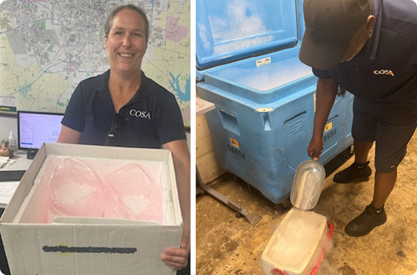 Courier Service San Antonio TX | Medical Deliveries