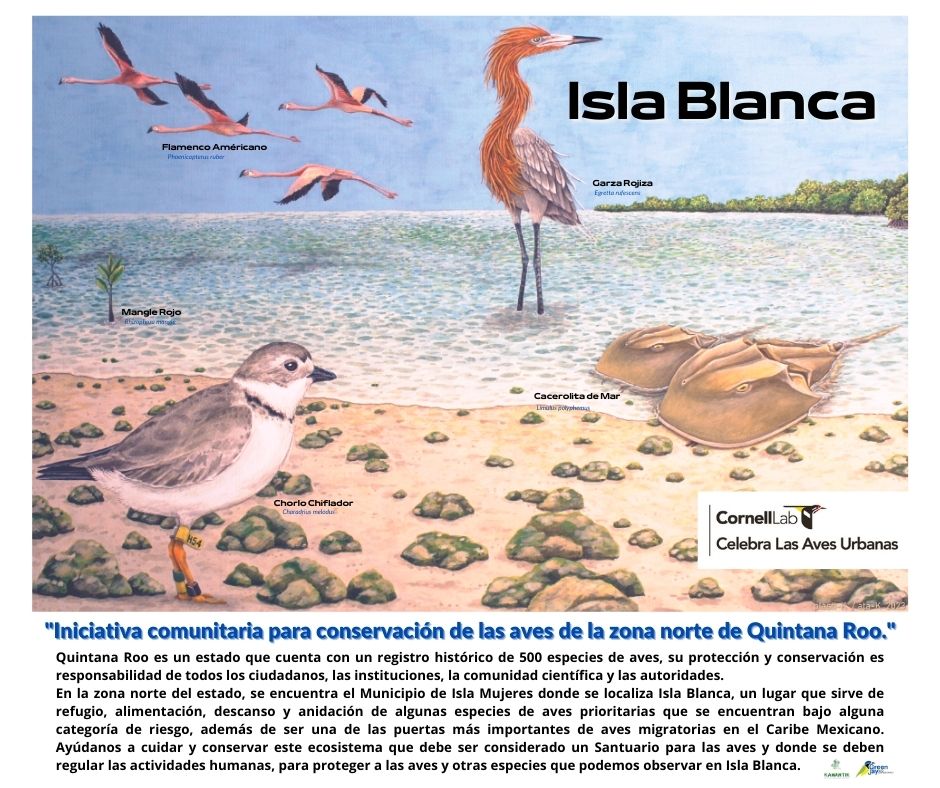 Conservación de Aves en México