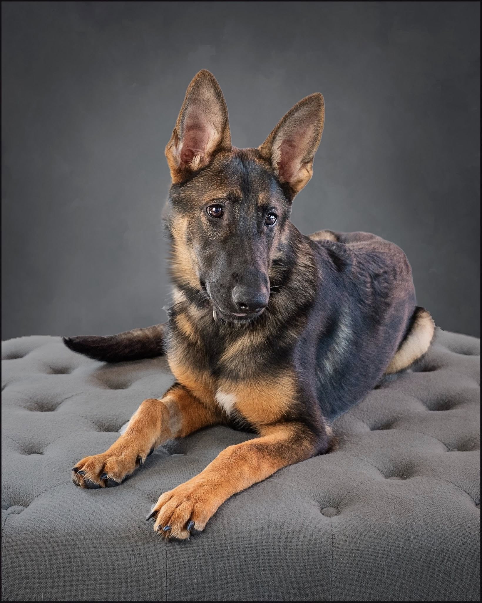 Available for Adoption