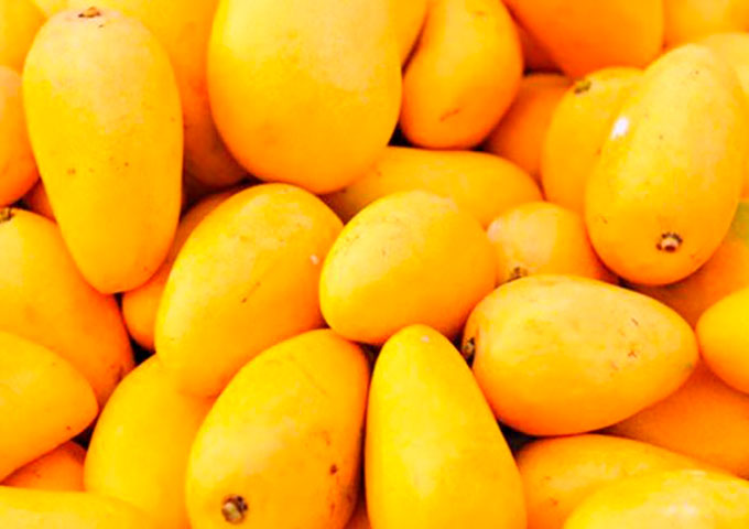 Sólo Mangos de Calidad