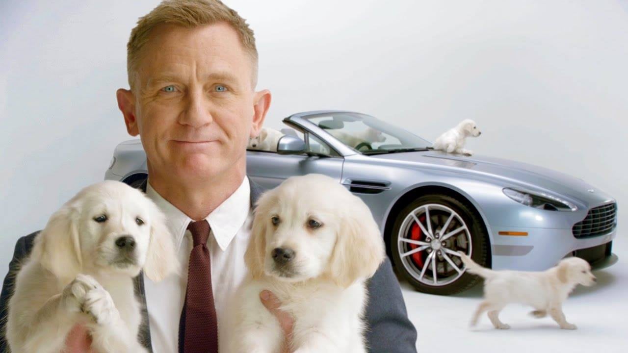 Animal Actors Animal Talent Agency - All Animal Actors International ...