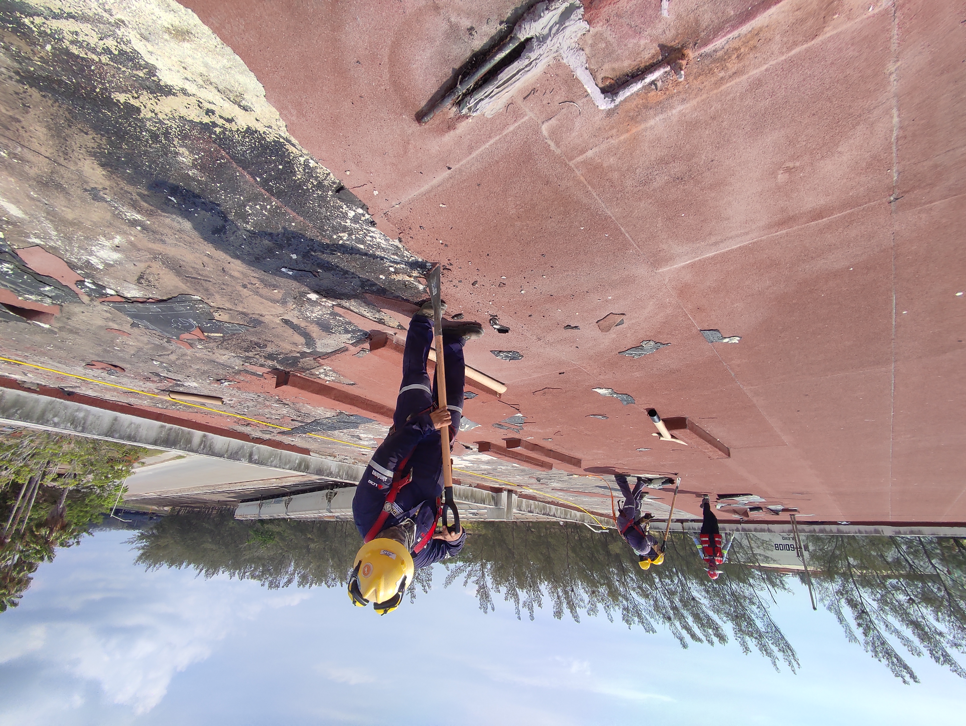 Servicios Especializados MEROB