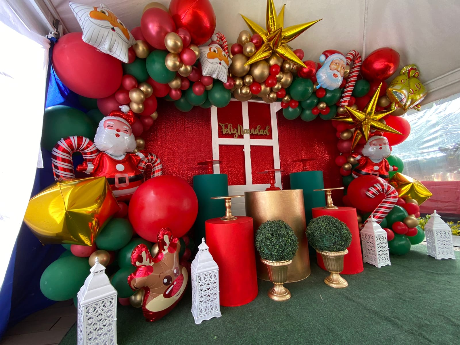 Fiestas y Alquileres | Backing