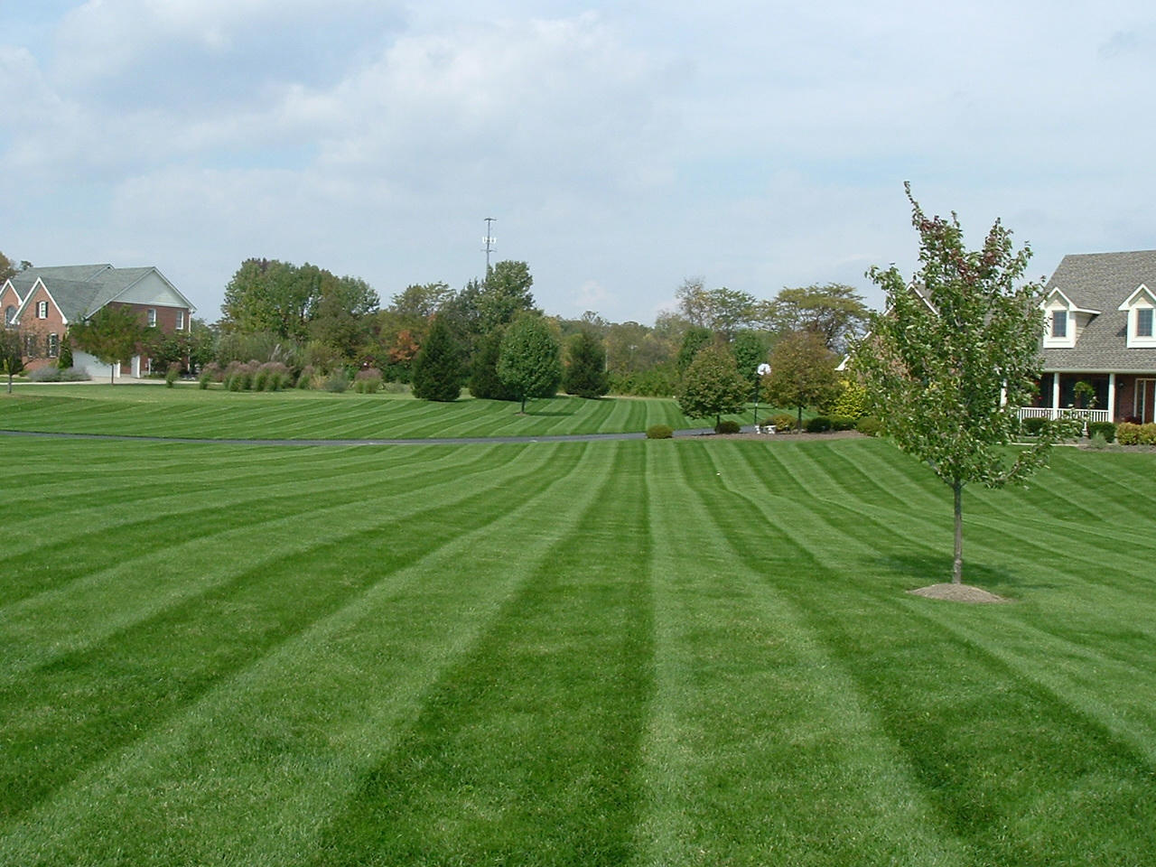 Perry Lawn & Landscape - Mowing