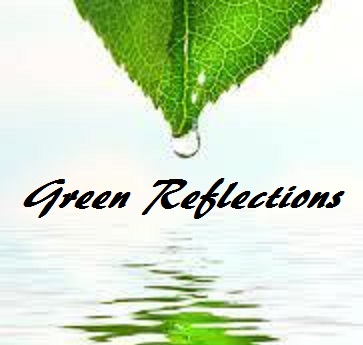 Green Reflections Garden Design - Home