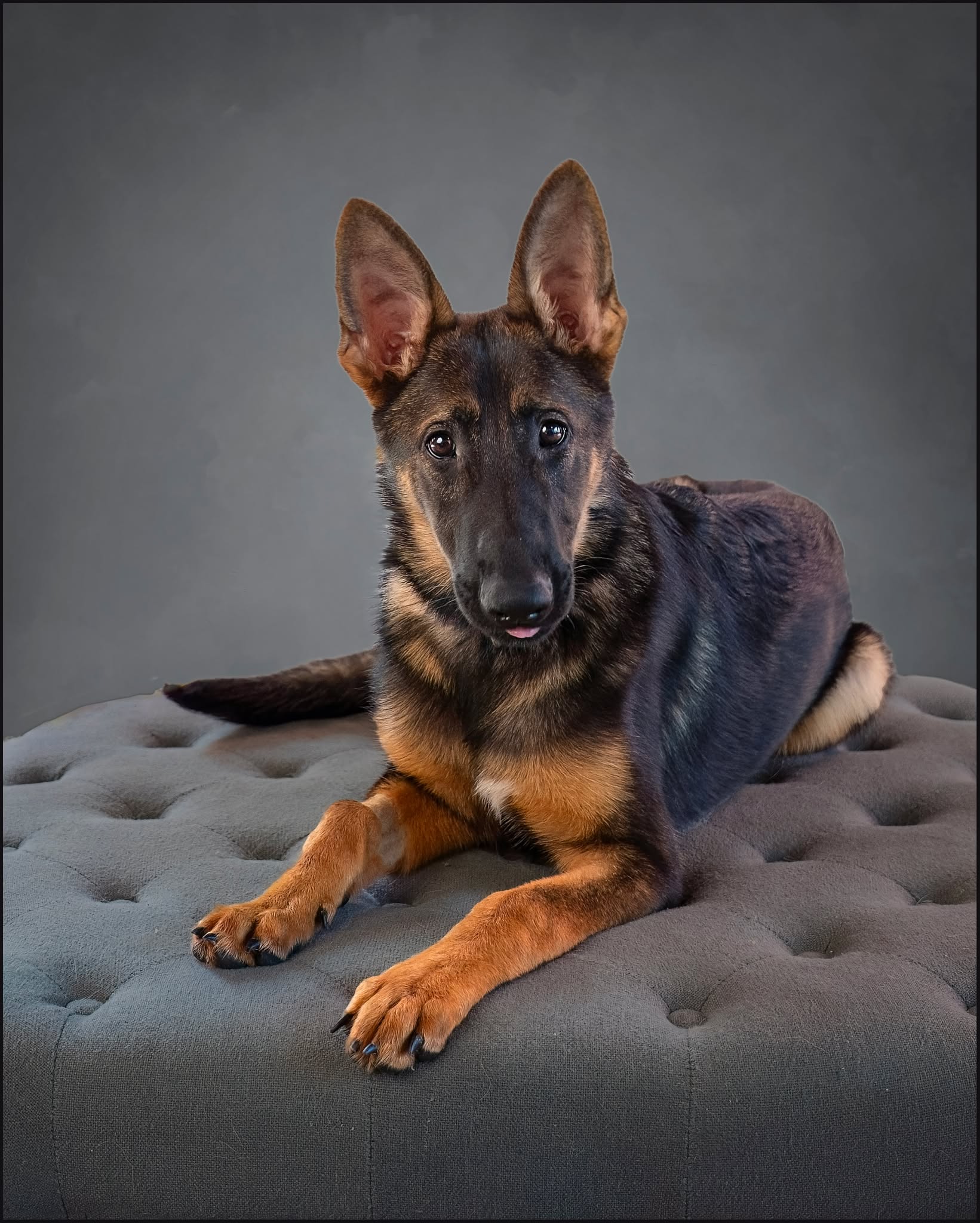 Available for Adoption