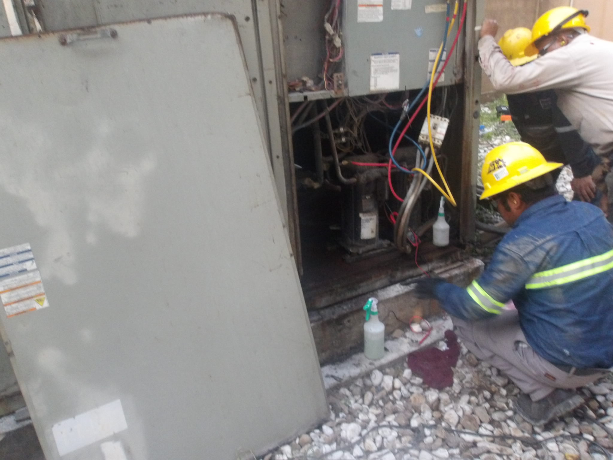 Servicios Especializados MEROB