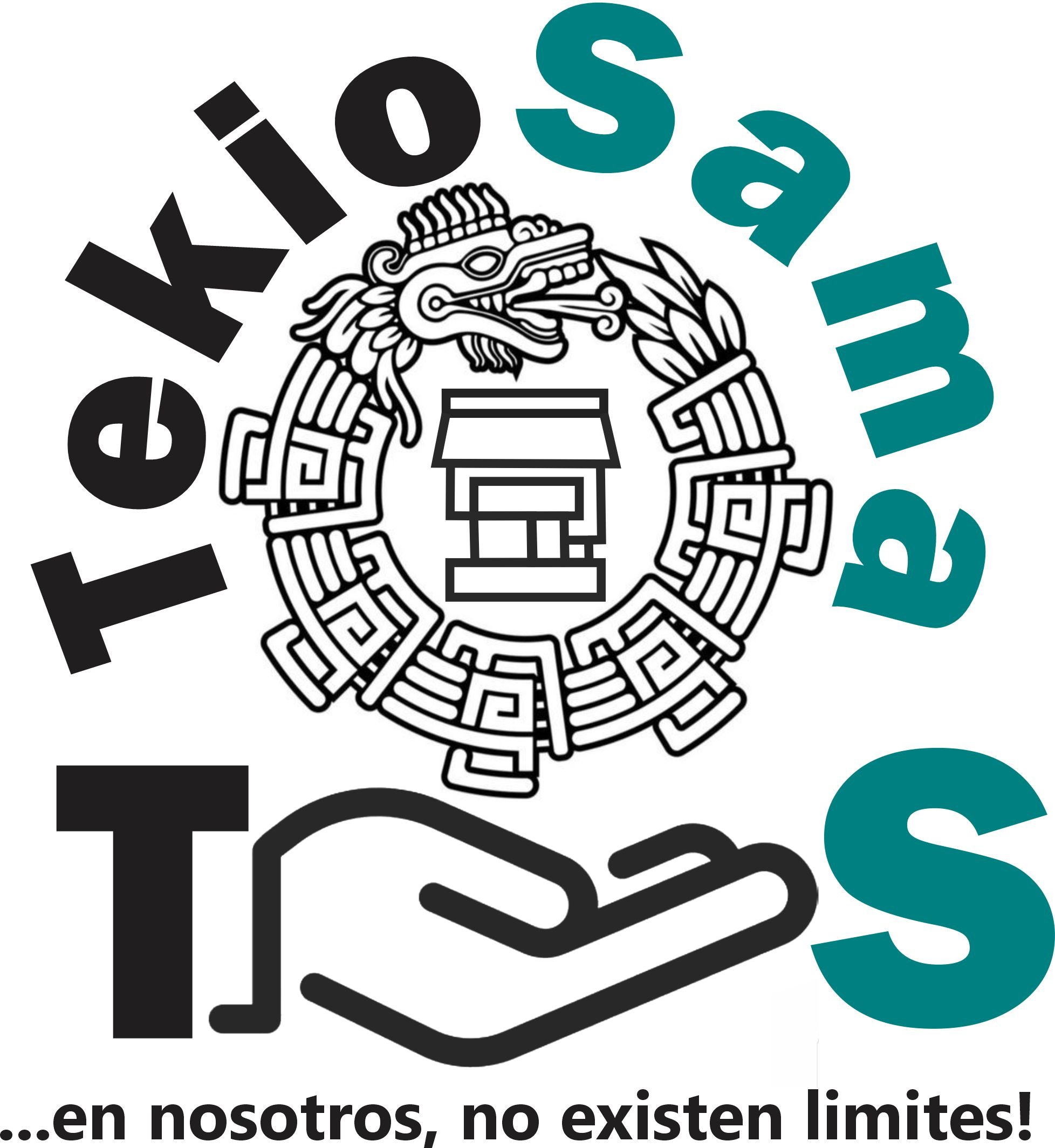 Grupo TEKIO: Innovación y Servicios