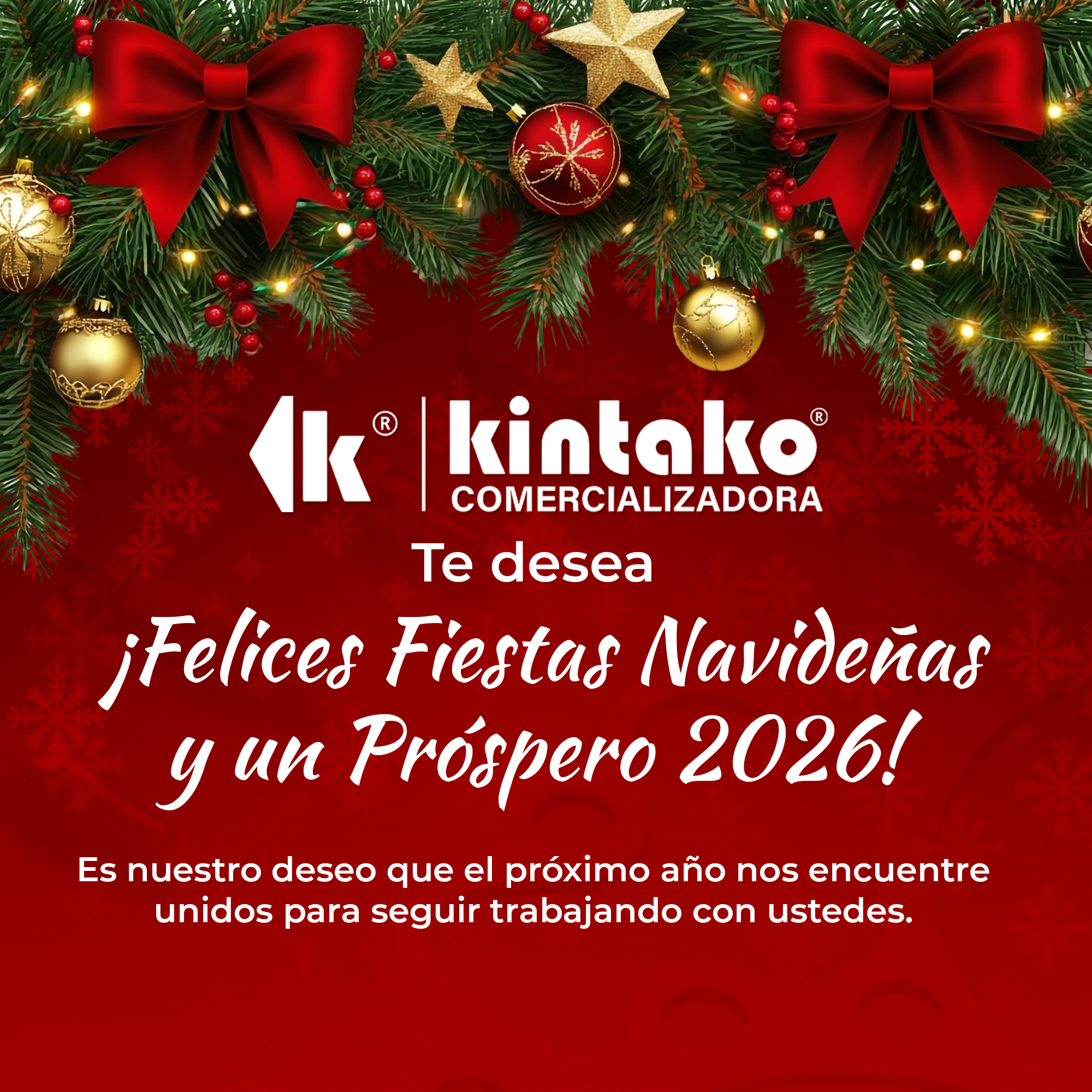 Repuestos y Accesorios
