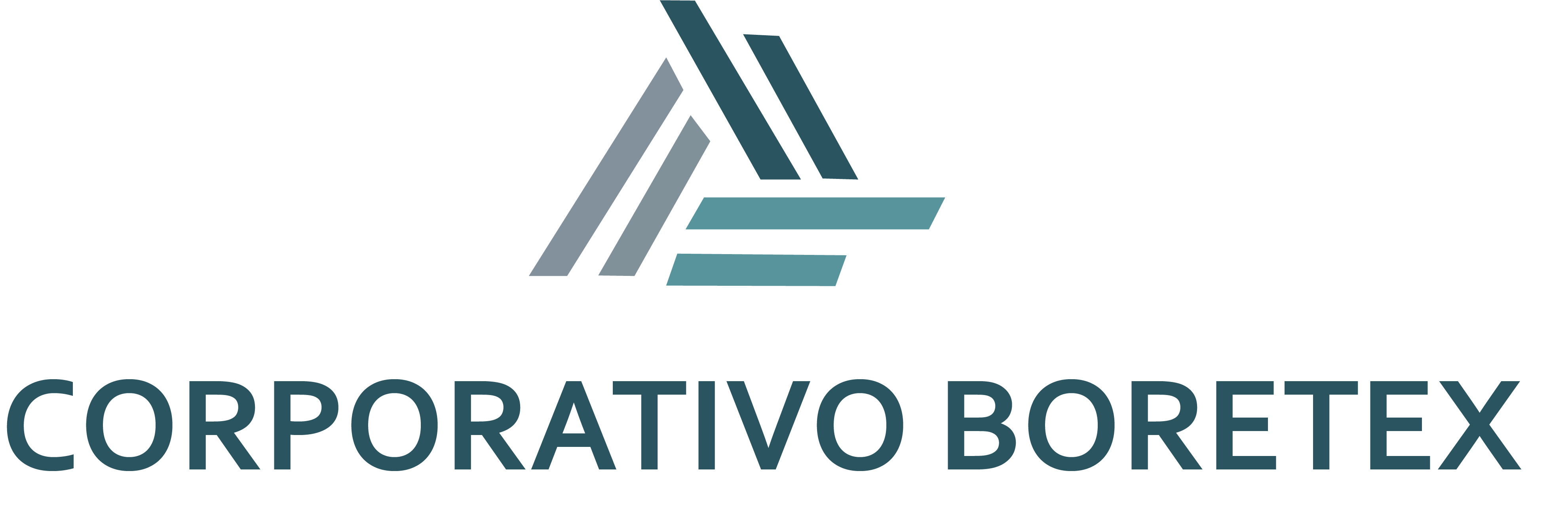 Corporativo Boretex