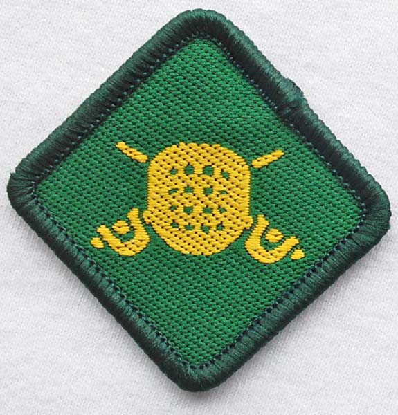 irishmedals.orgMerit Badges