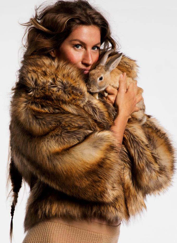 All Animal Actors International Animal Talent Agency - Animal Actors ...