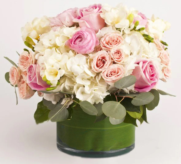 - Home [www.floristinstamfordct.com]