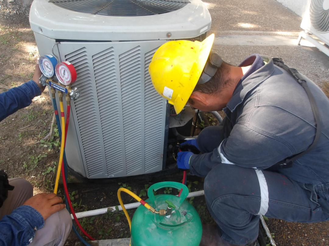 Servicios Especializados MEROB