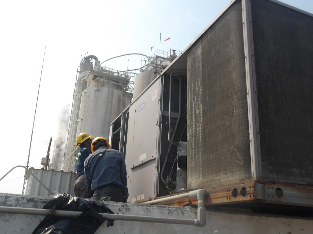 Servicios Especializados MEROB