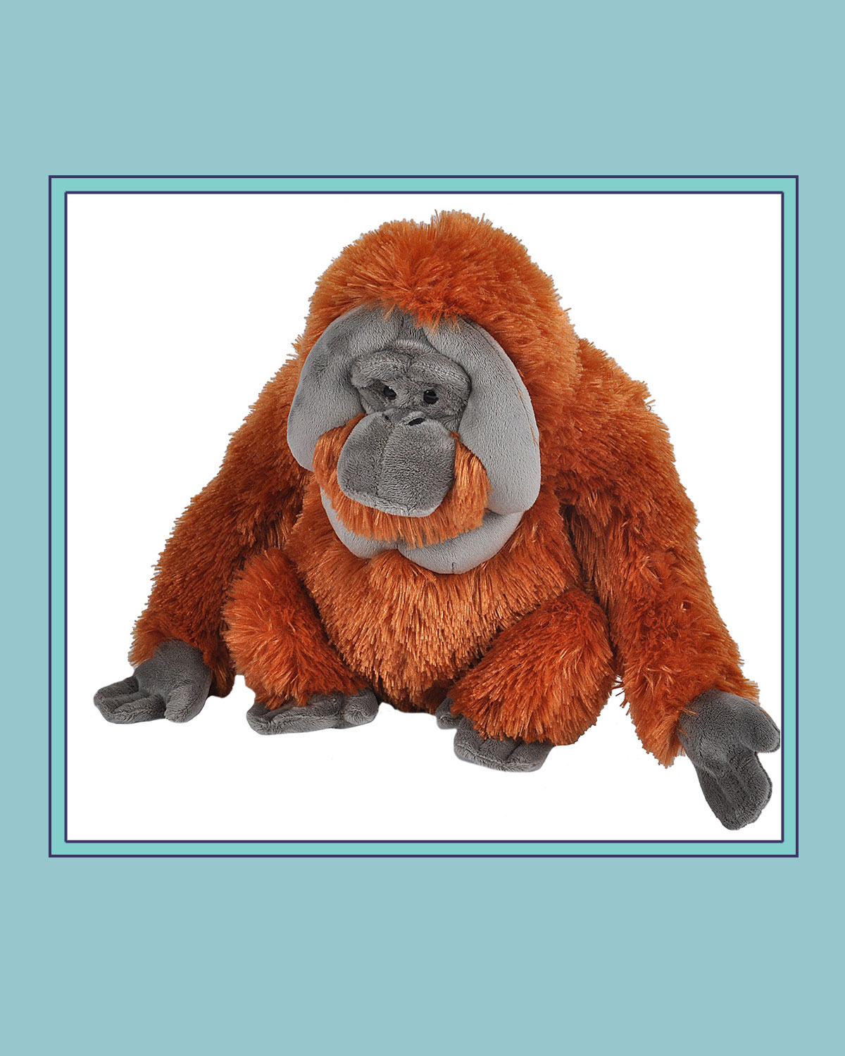 Star Tulip Stuffies - Welcome