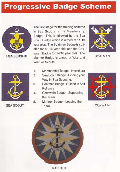 irishmedals.orgS.A.I. Uniform Badges
