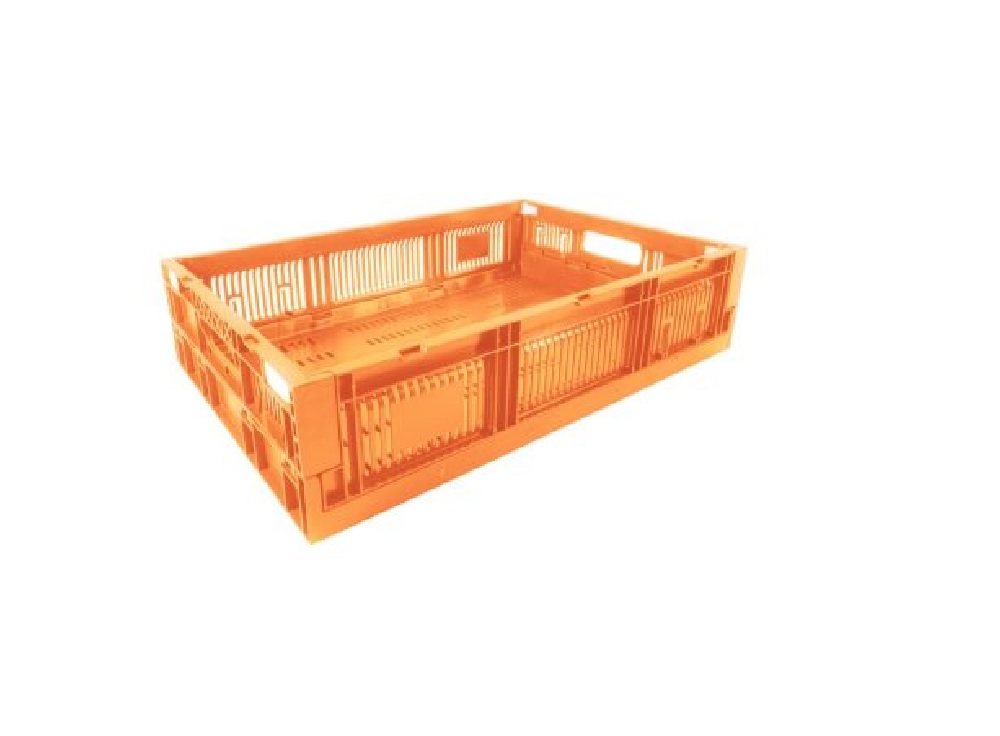 Inicio - D Y C A A S A