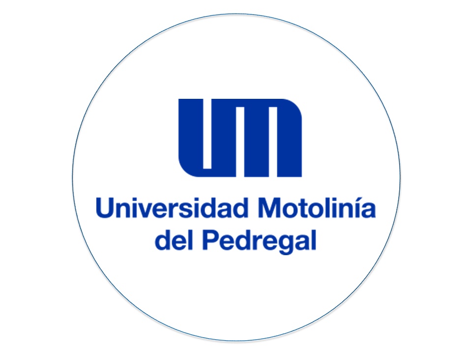 Universidad Motolinia Logo