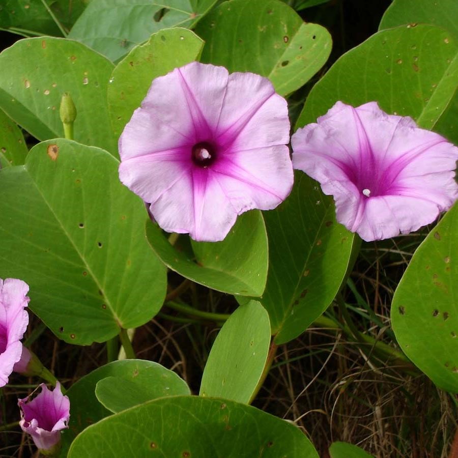 Cancún y la Riviera Maya son de los destinos más atractivos para ...