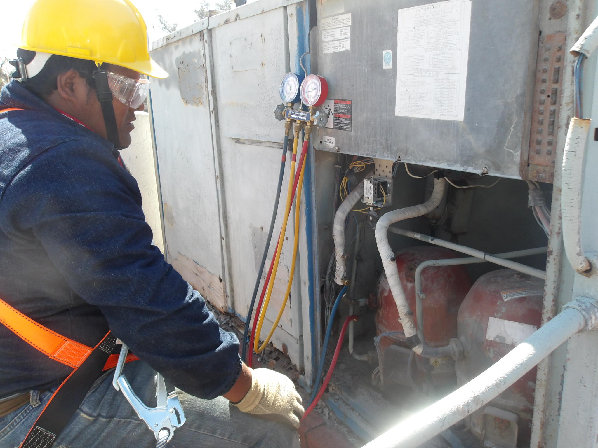 Servicios Especializados MEROB