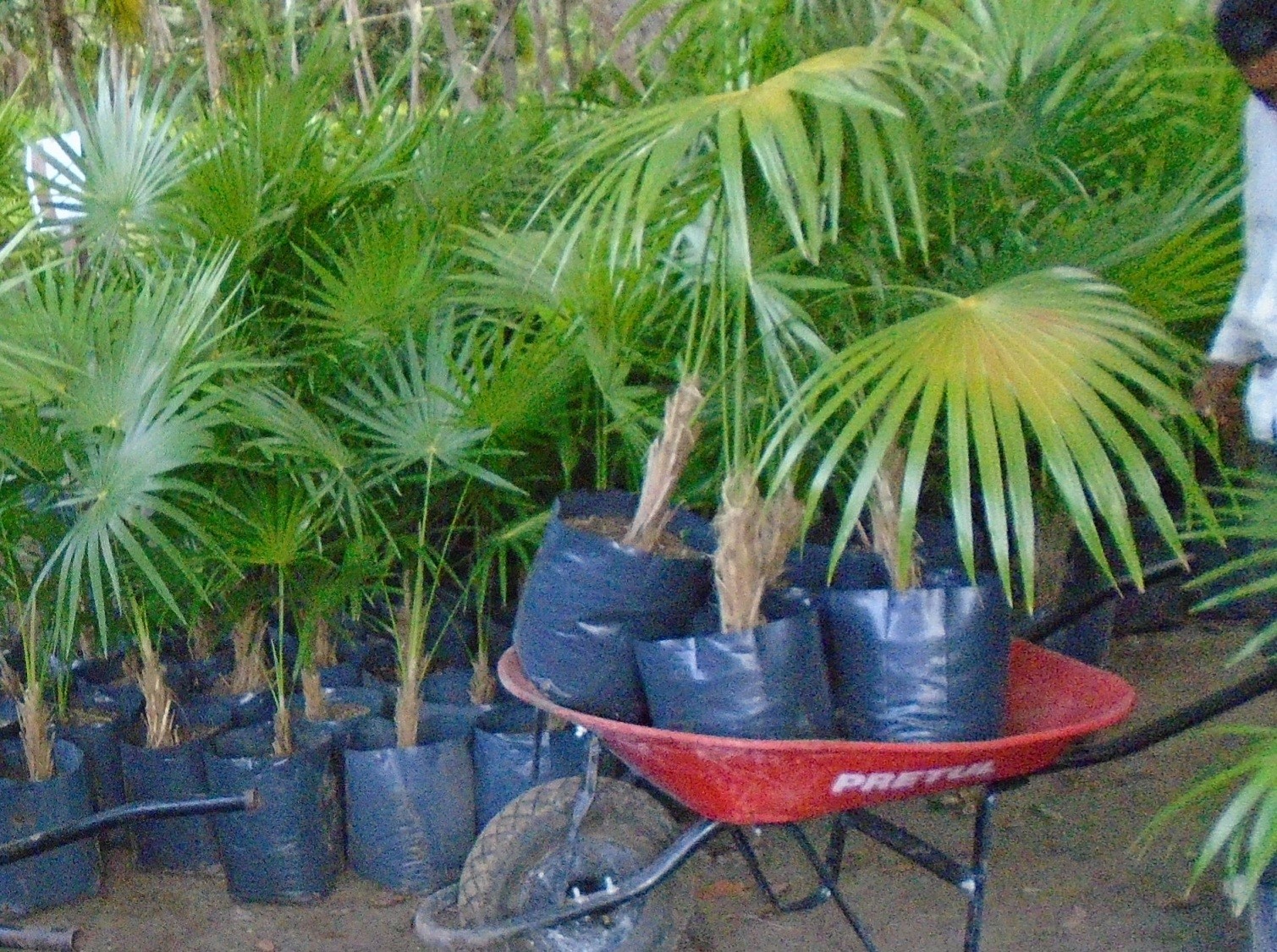 Cancún y la Riviera Maya son de los destinos más atractivos para ...