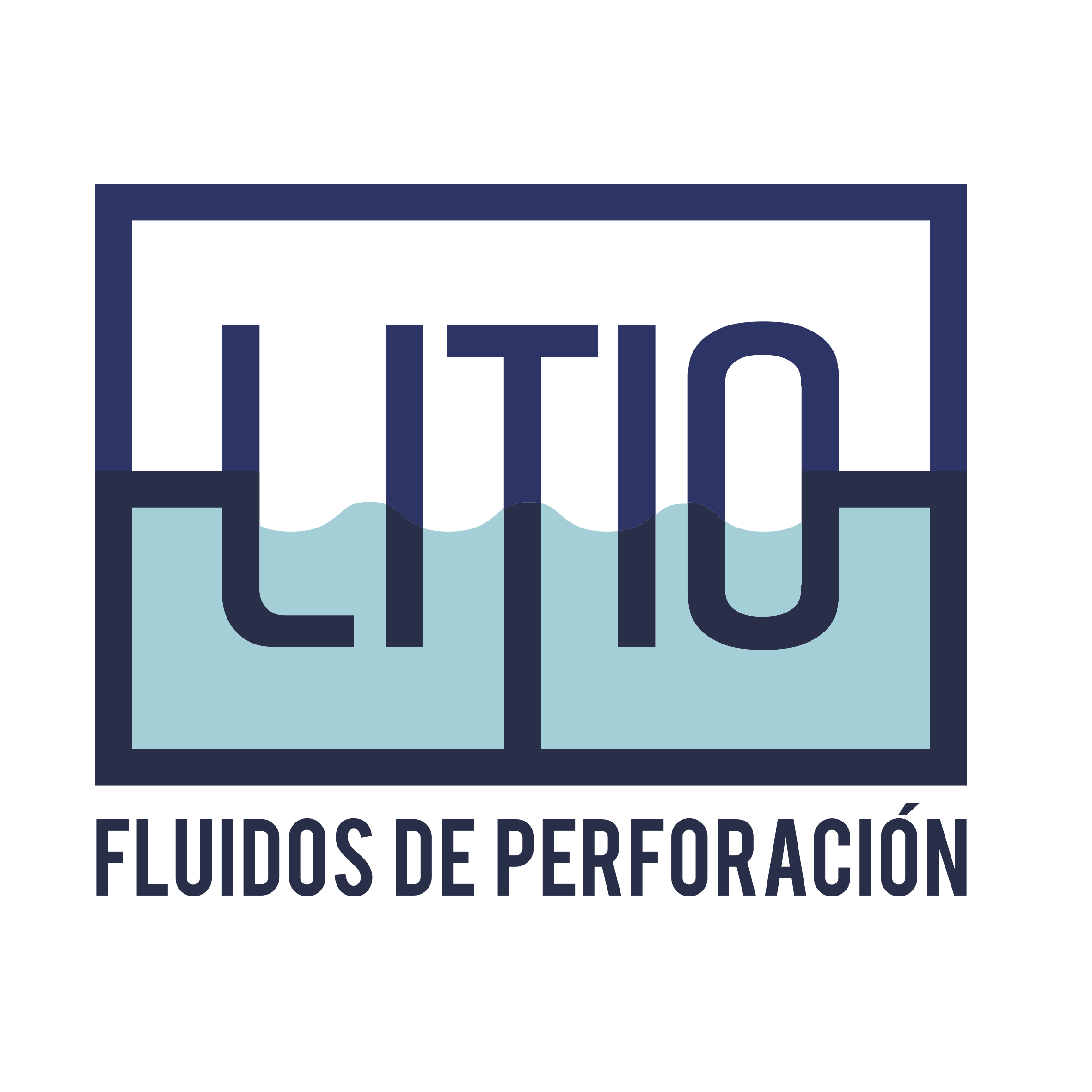 LITIO MEXICANA DE FLUIDOS DE PERFORACIÓN SA DE CV - SERVICIOS