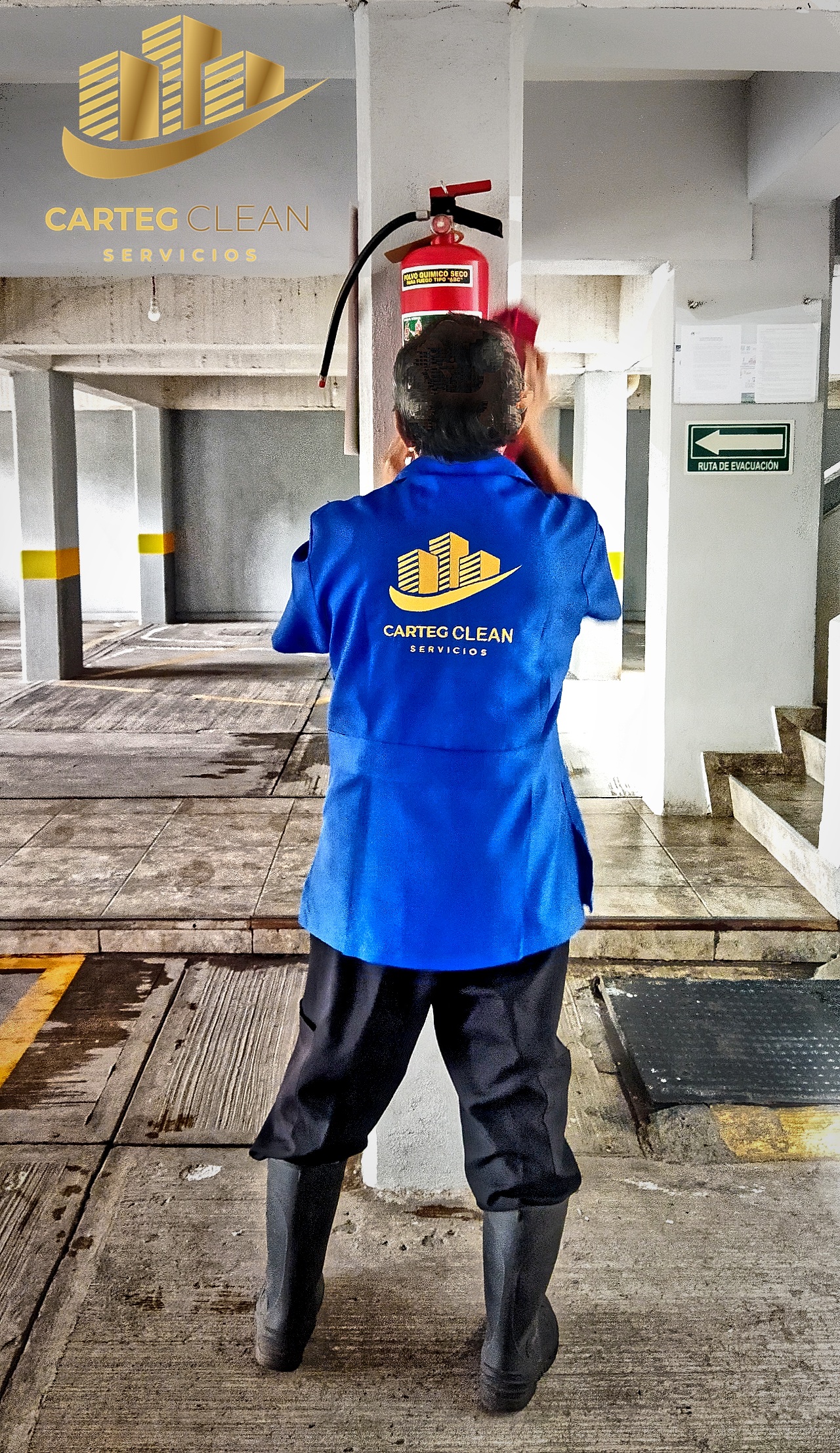 Inicio - CARTEG CLEAN