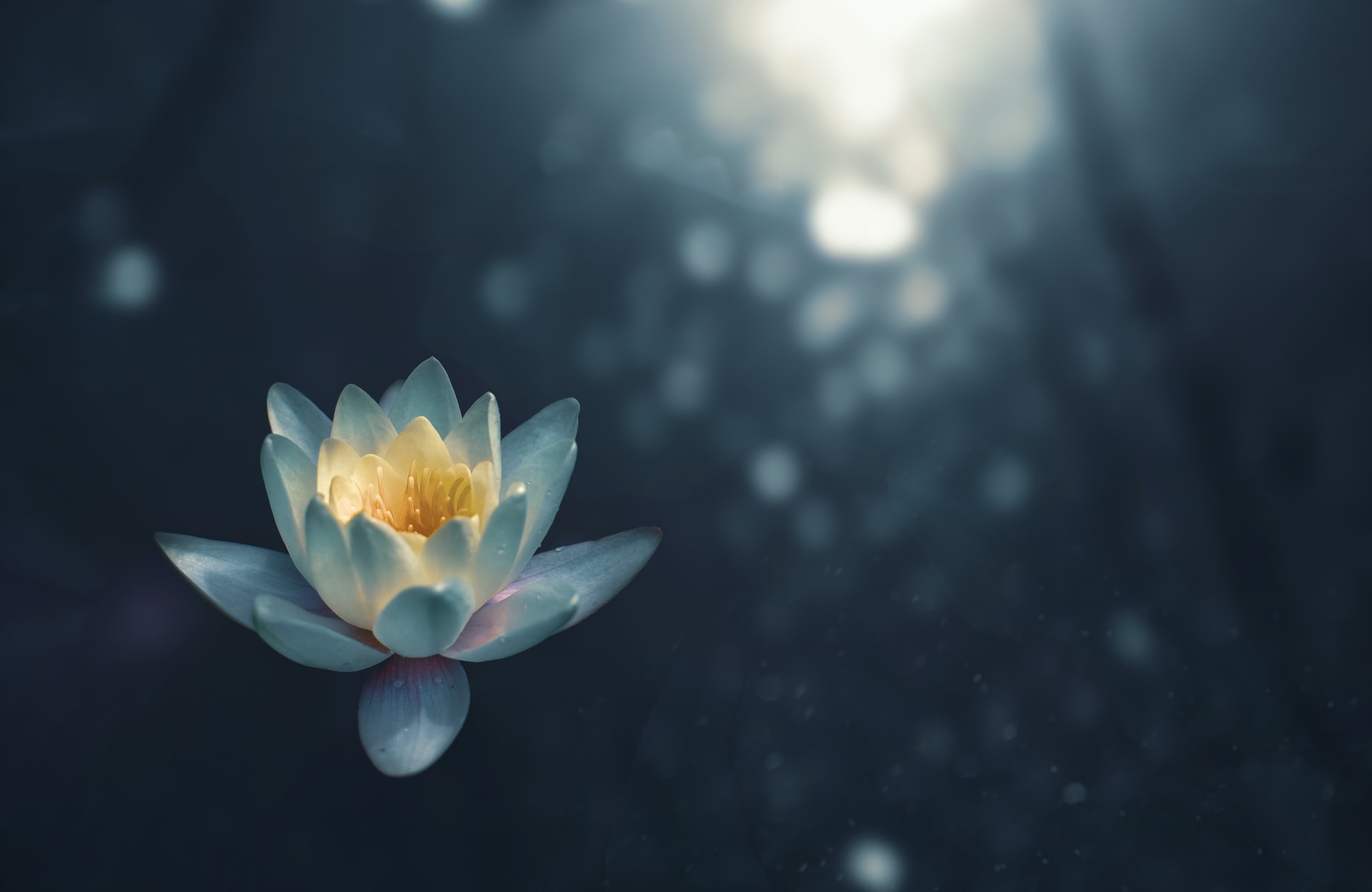 Reiki Classes In Colorado Springs
