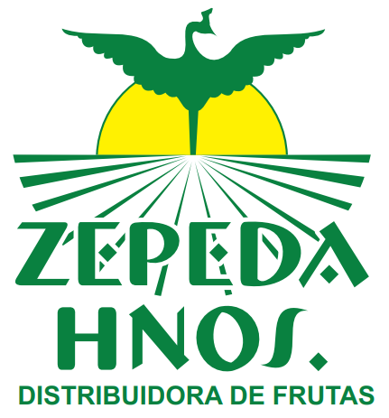 ZEPEDA HNOS - INICIO