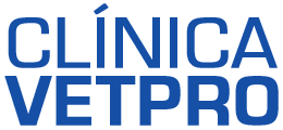 Servicio veterinario - Clínica VETPRO - Mérida - Inicio