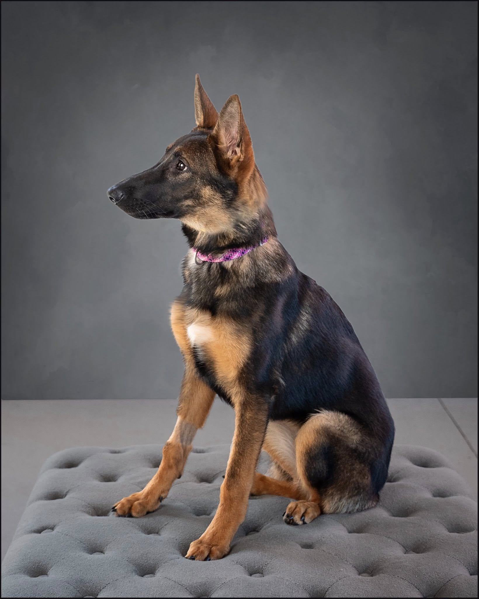 Available for Adoption