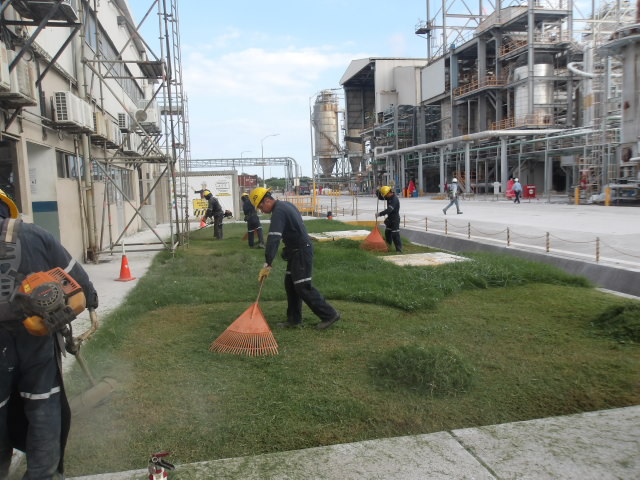 Servicios Especializados MEROB