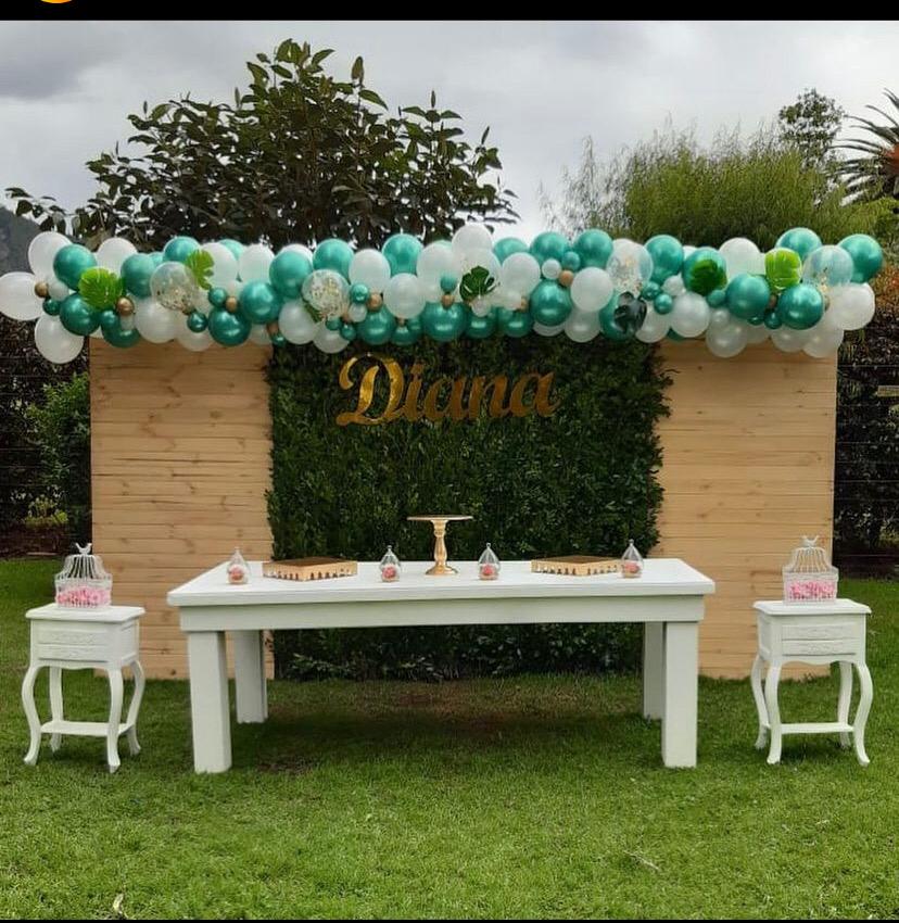 Fiestas y Alquileres | Backing