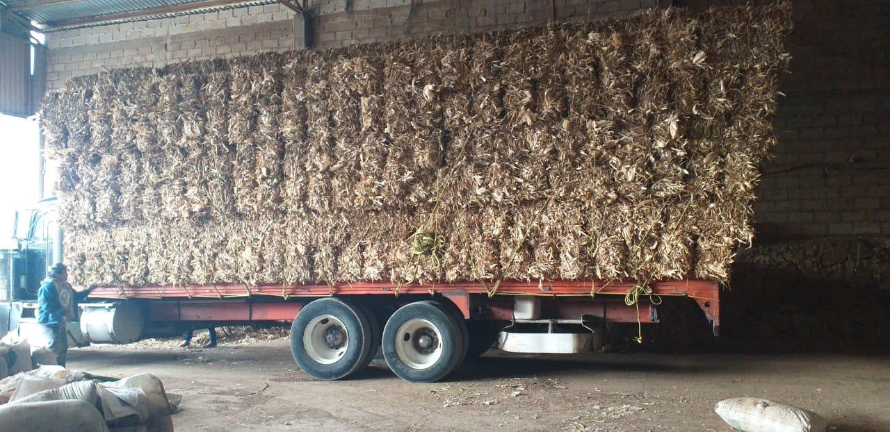 Venta de forrajes para ganado – Forrajes Feregrino – Ezequiel Montes ...