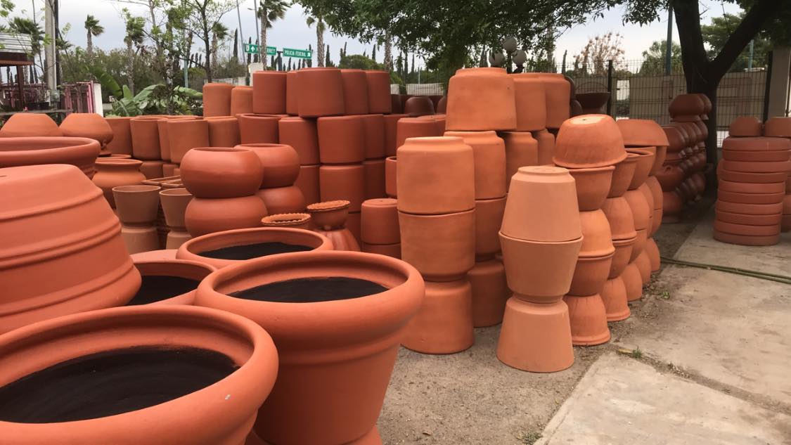 Inicio - Vivero el caracol